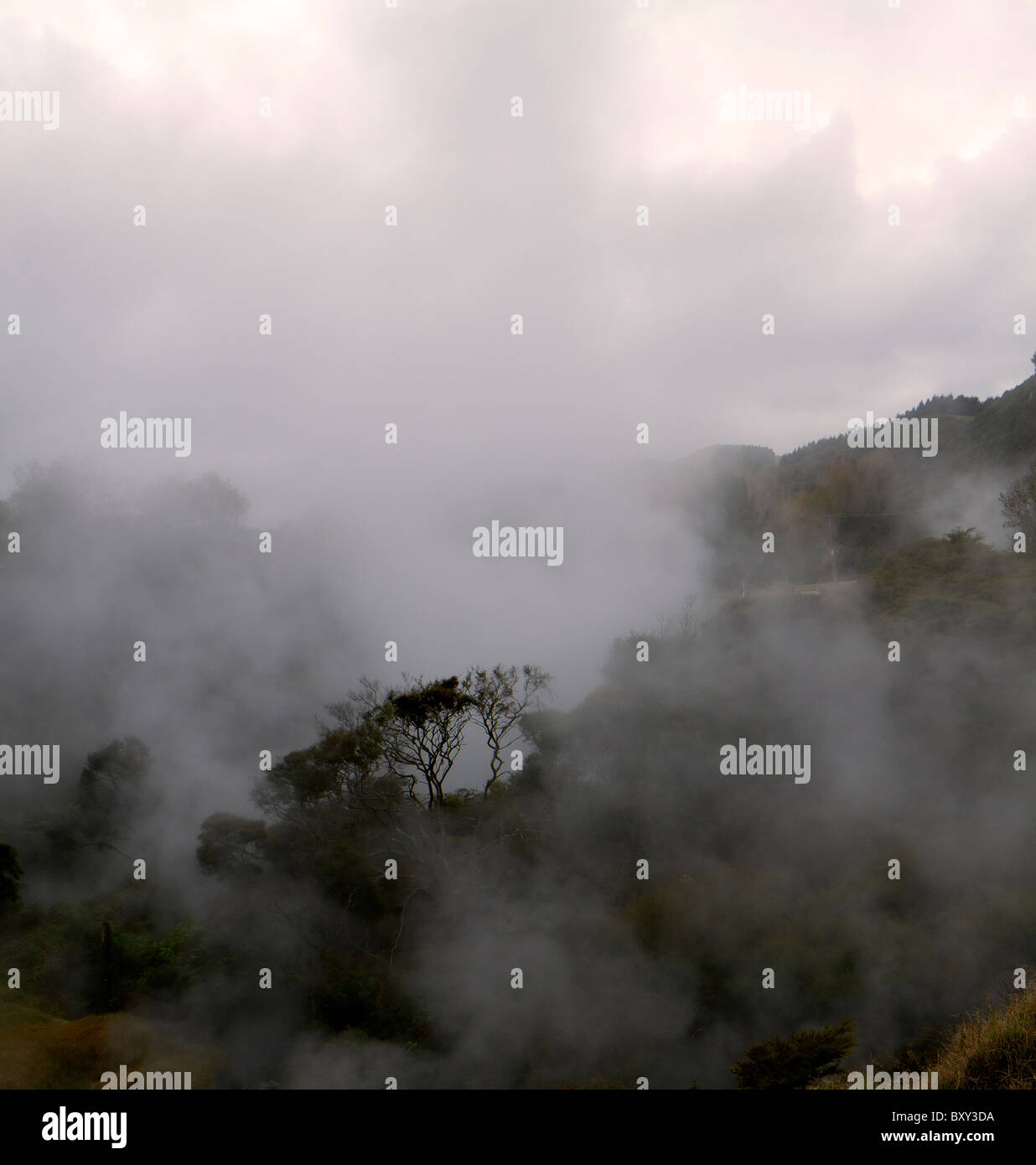 Mist like appearance hi-res stock photography and images - Alamy