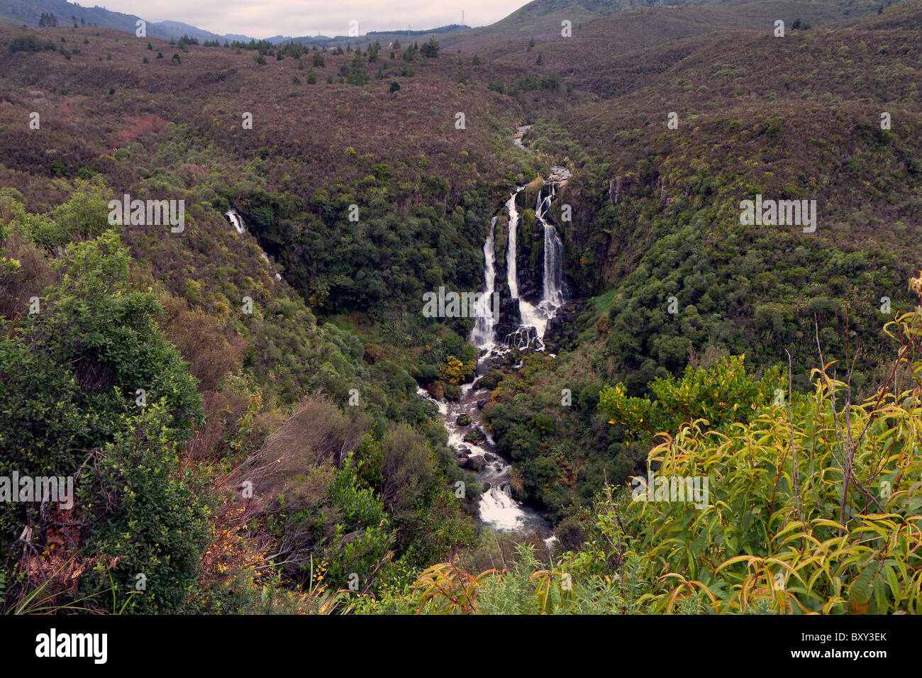 Waipunga Falls is a gorgeous 40m segmented waterfall featuring three ...