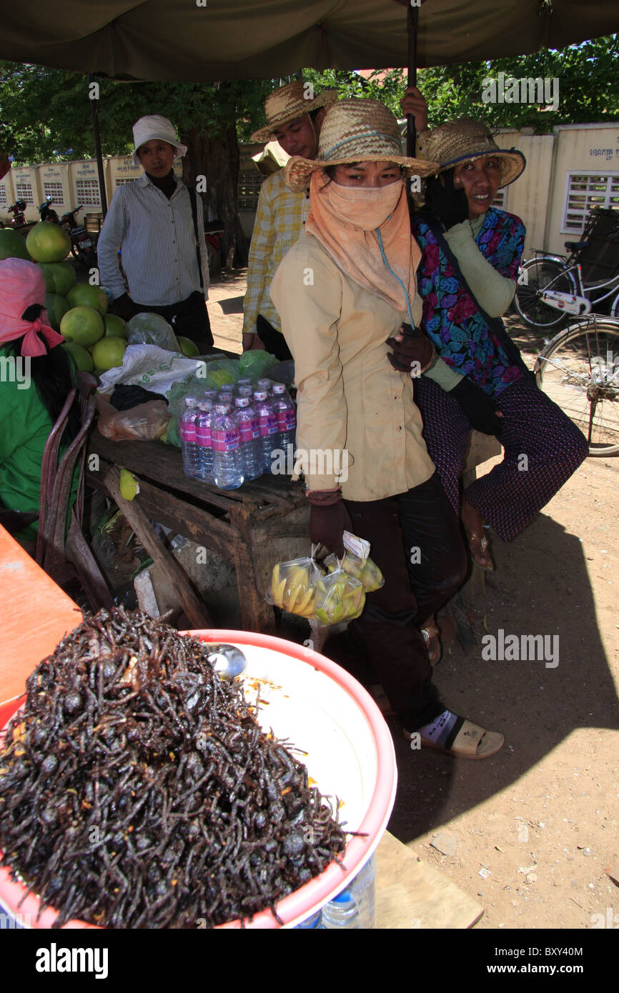 Spiders, a popular snack in Cambodia, for sale in Skuon Stock Photo - Alamy