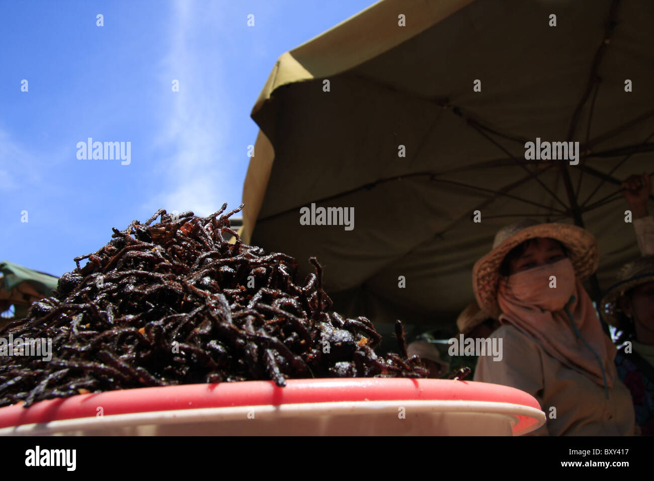 Spiders, a popular snack in Cambodia, for sale in Skuon Stock Photo - Alamy