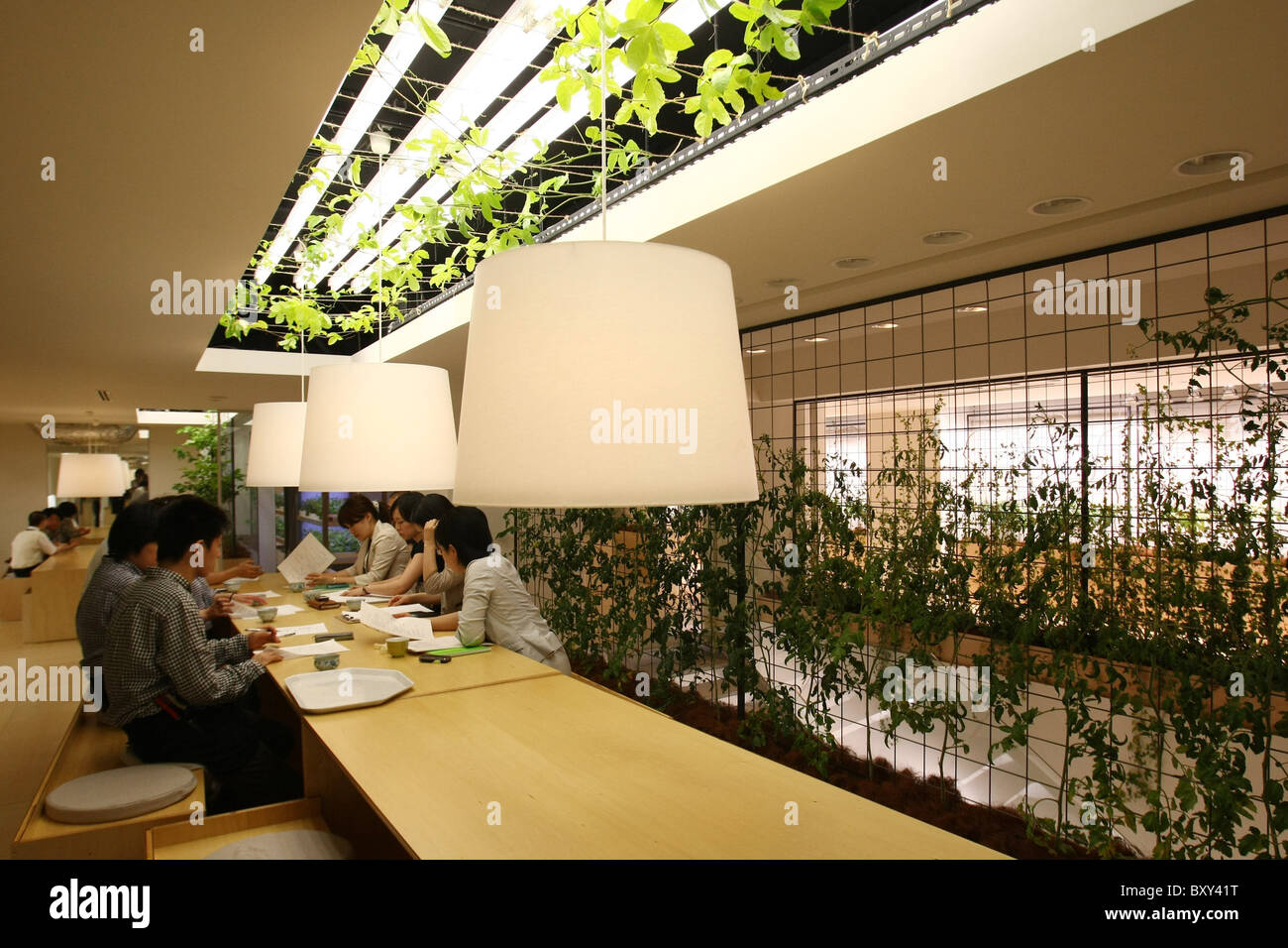 Pasona hi-res stock photography and images - Alamy