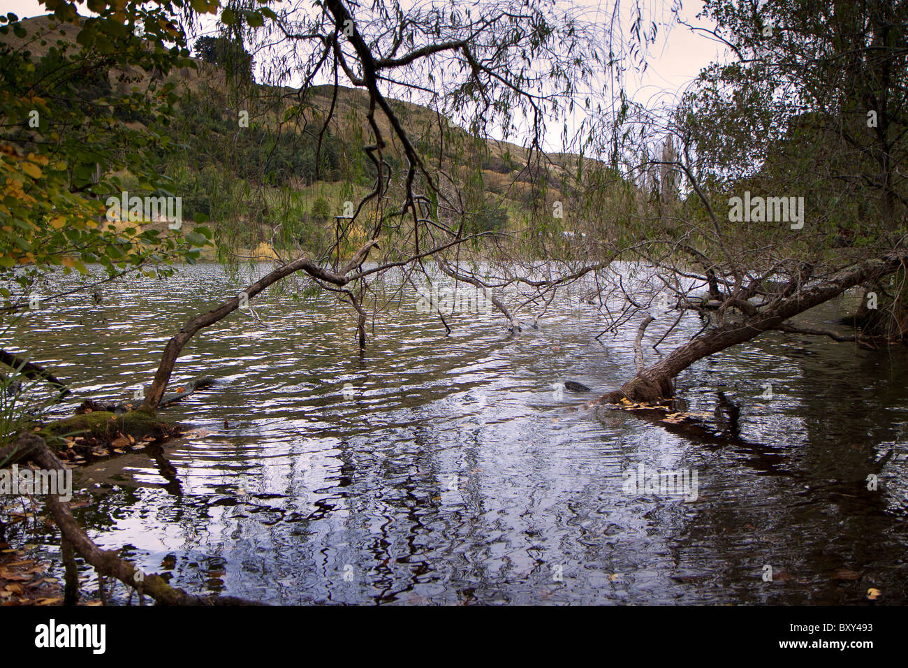 Tutira hi-res stock photography and images - Alamy
