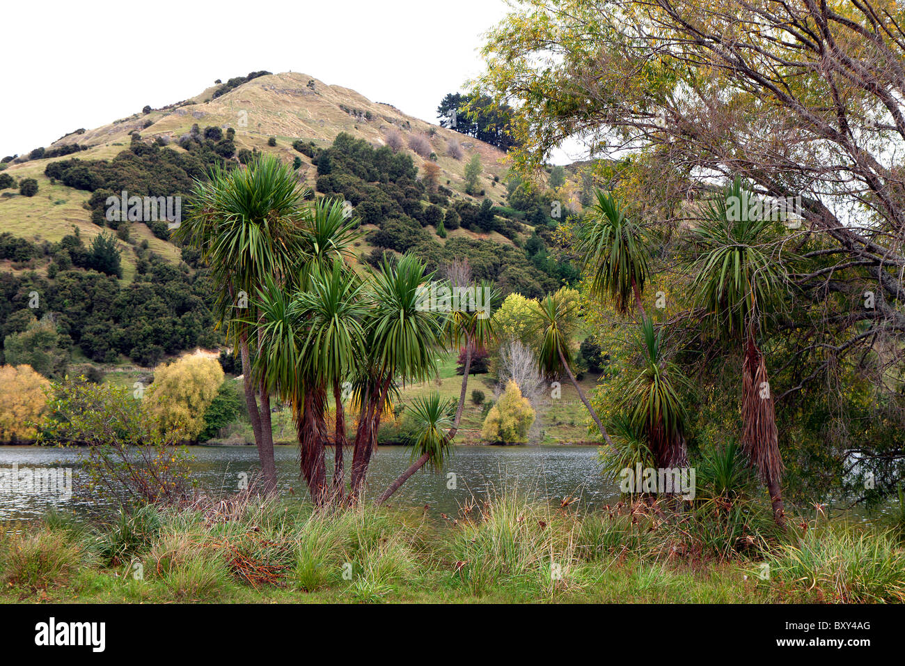 Tutira hi-res stock photography and images - Alamy