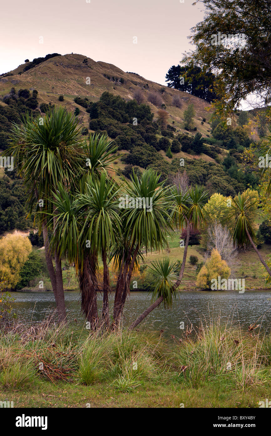 Lake Tutira, North Island, New Zealand Stock Photo - Alamy