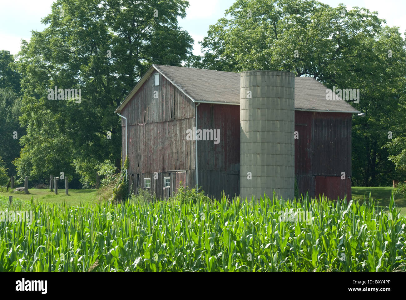 Old Barn; Corn Field; Jackson County Michigan USA Stock Photo - Alamy
