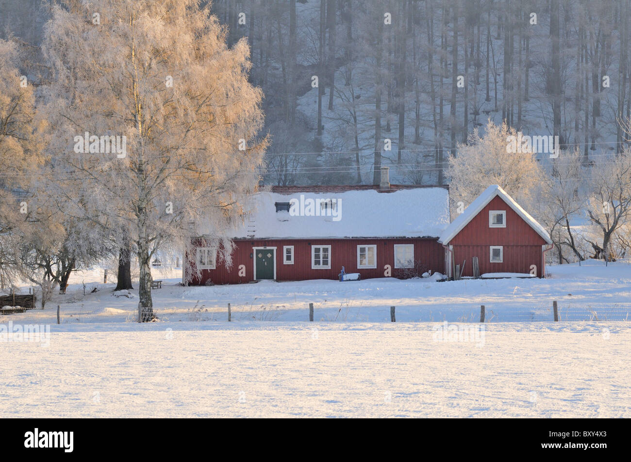 Red wooden summerhouse in winter Stock Photo - Alamy