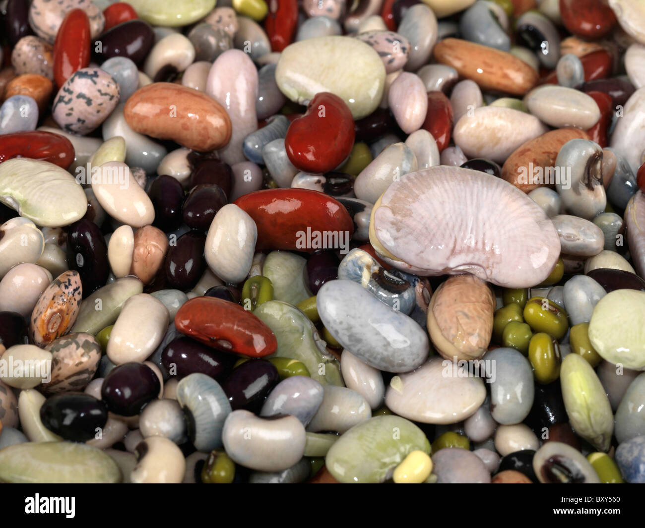 Alubia beans hi-res stock photography and images - Alamy
