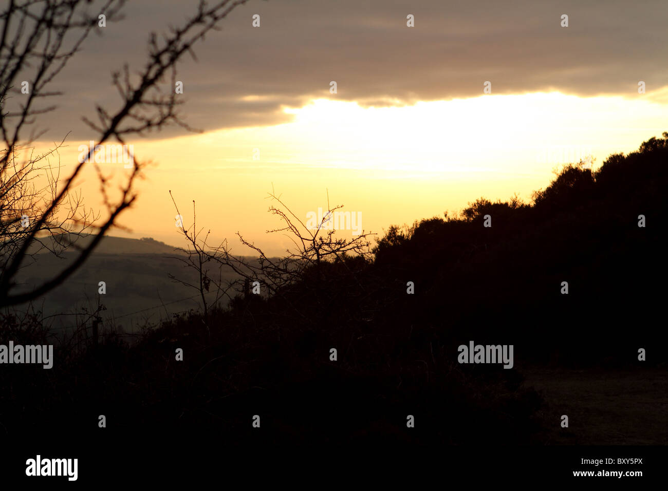 Sunset through hedge hi-res stock photography and images - Alamy