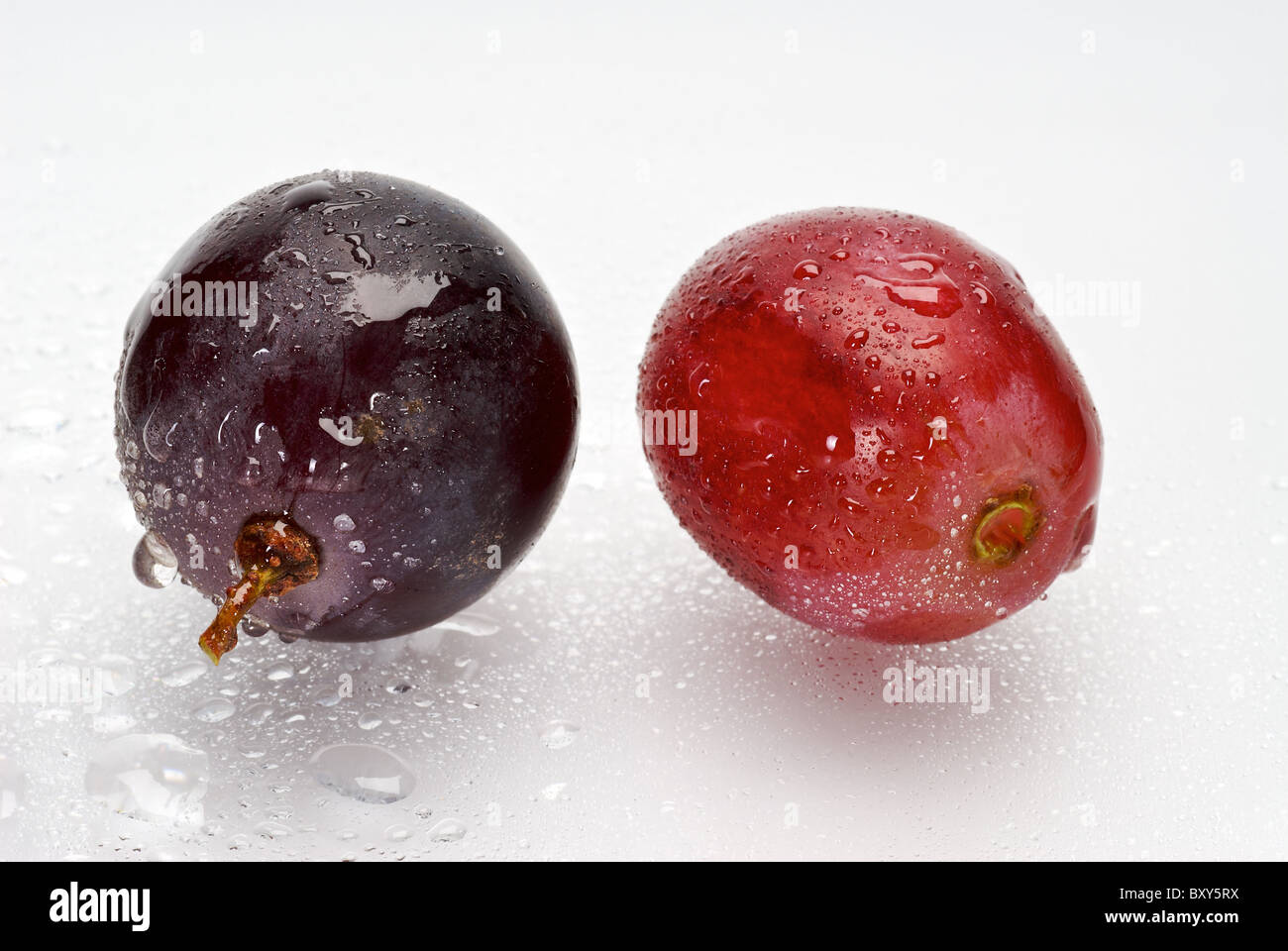 One red and one purple wet grape isolated on white background Stock ...