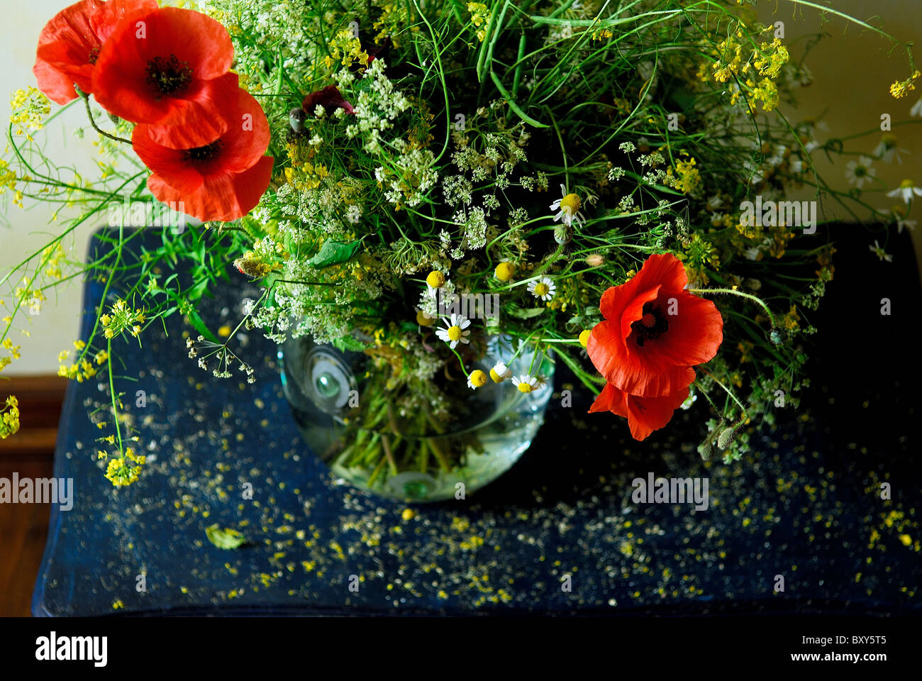 red poppy, art, natural design, fresh boquet, home, lifestyle ...