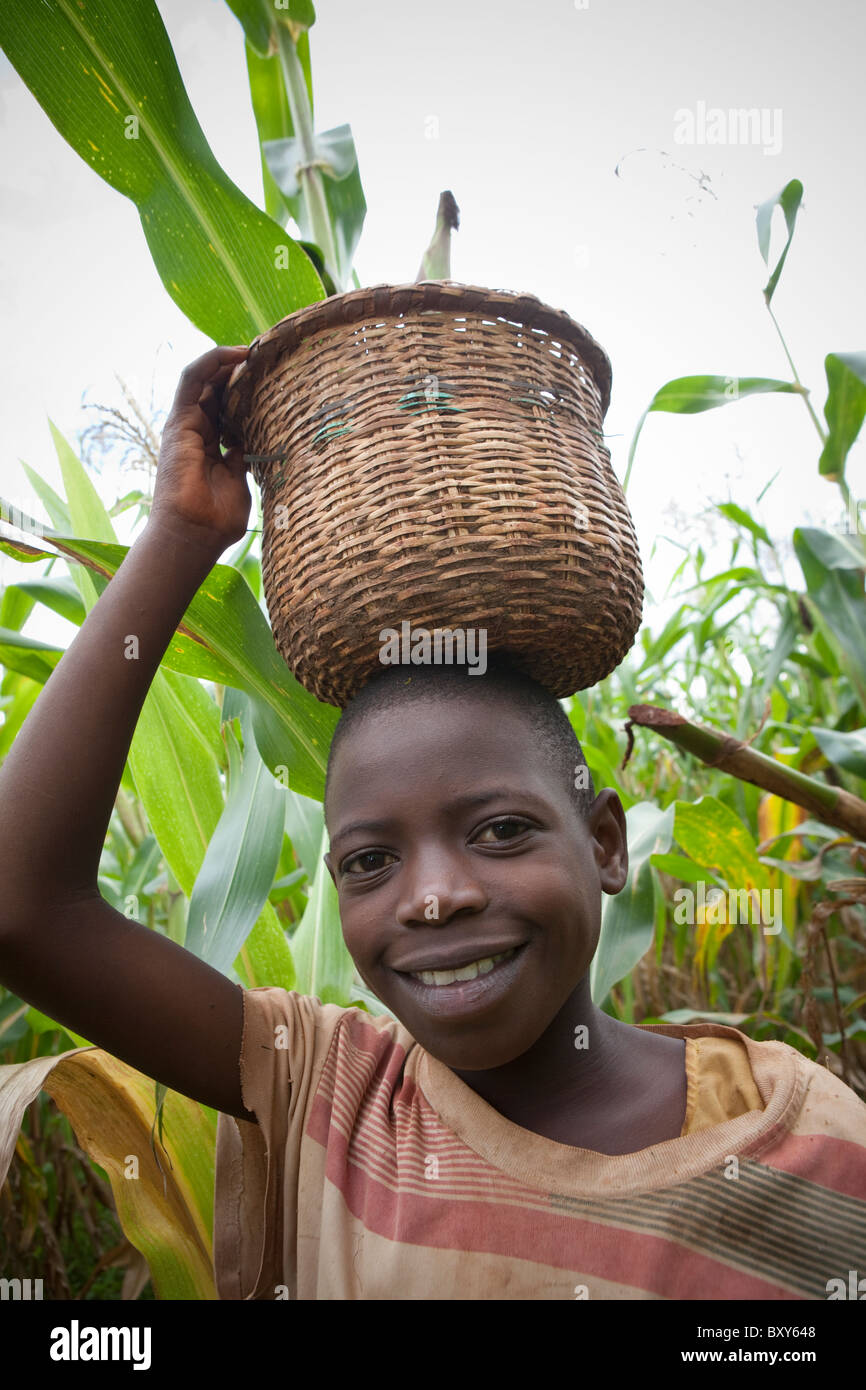 Mili Mlati (9) harvests corn in her family's field in Webuye District ...