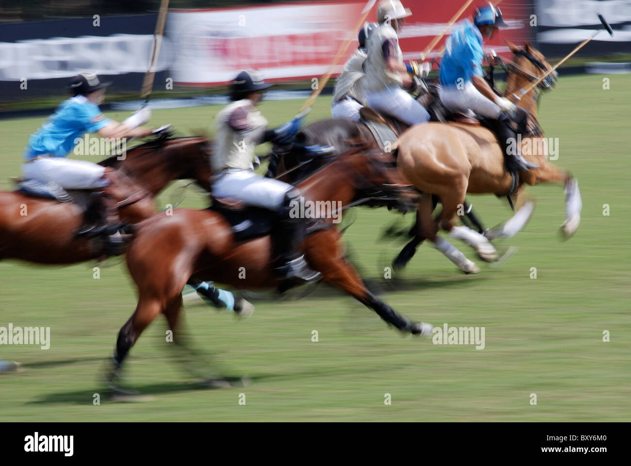Polo players in action Stock Photo - Alamy