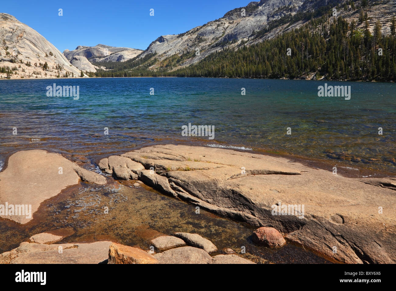 Shallow on mountain lake on pass Tioga Stock Photo - Alamy