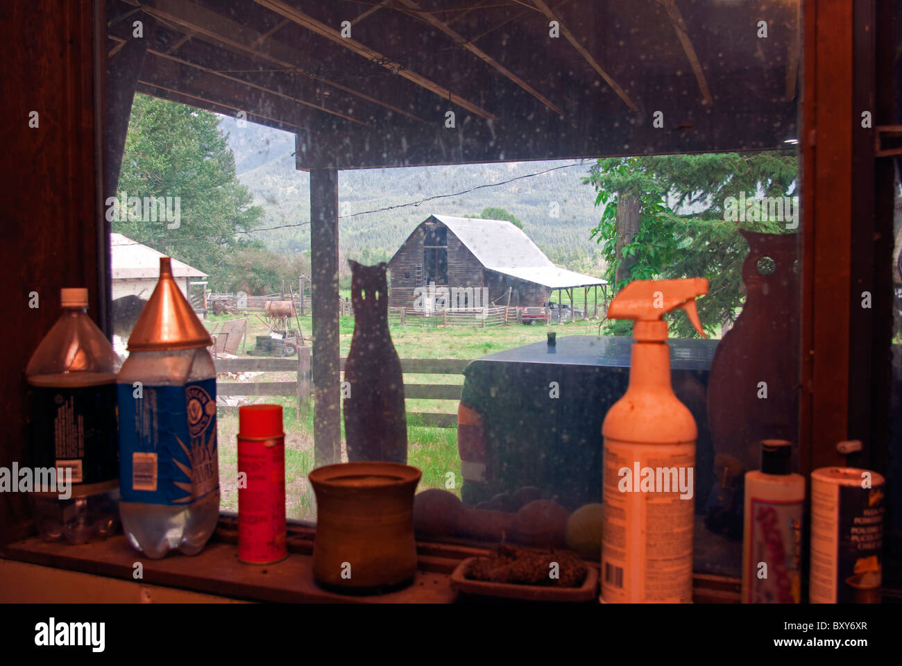 Canada, BC, Darfield, rustic tools, rustic farm, Looking through dirty ...