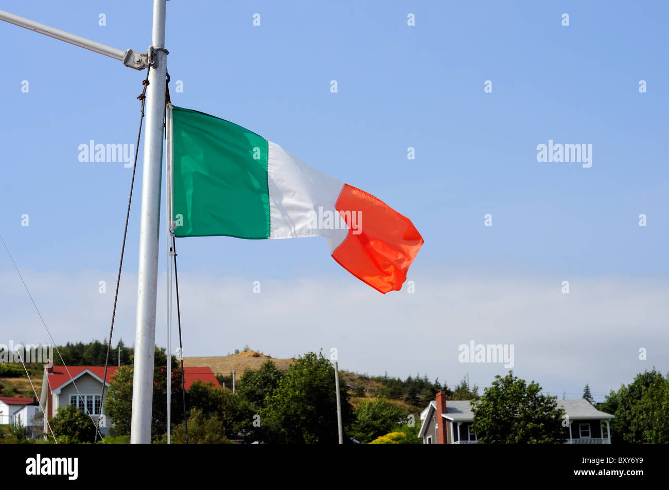 Newfoundland tricolour hi-res stock photography and images - Alamy