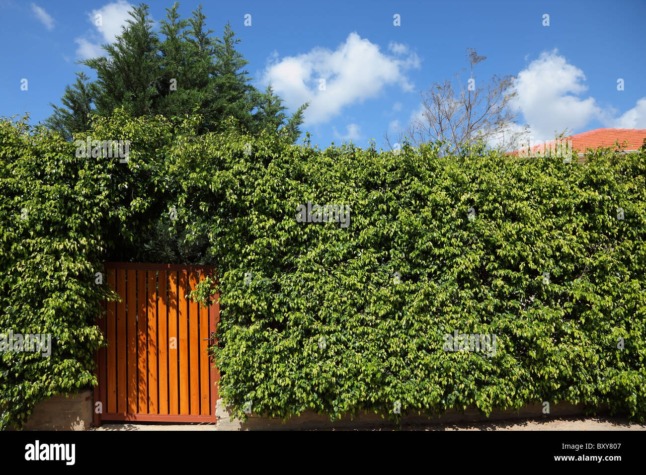 High hedges hi-res stock photography and images - Alamy