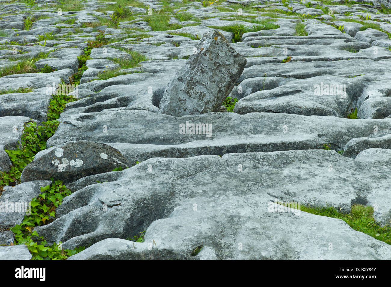 Karst limestone rocks hi-res stock photography and images - Alamy
