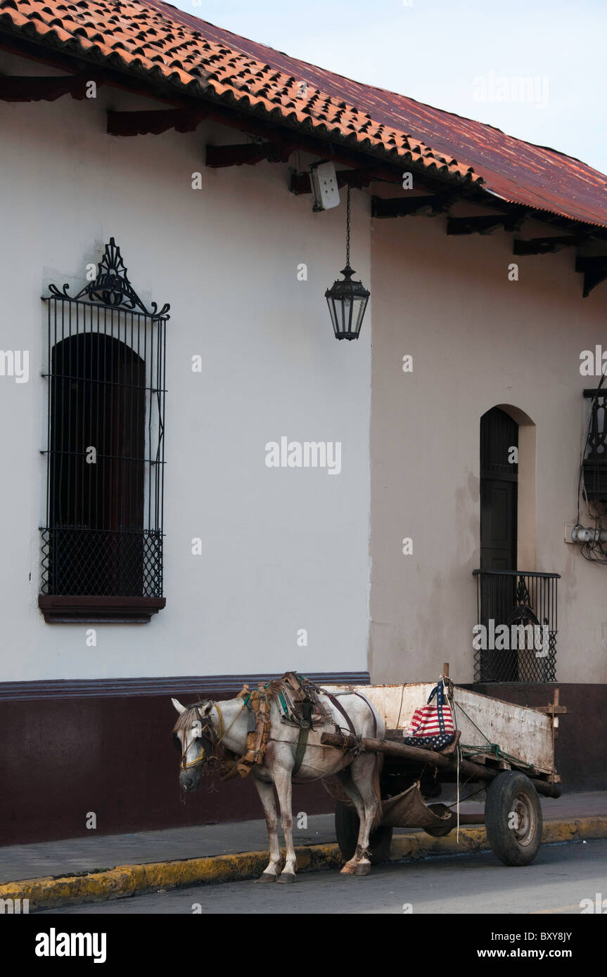 Horse carriage Leon Nicaragua Stock Photo - Alamy