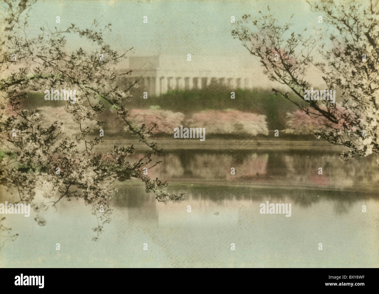 Circa 1910s hand-tinted photograph of the Lincoln Memorial and cherry ...