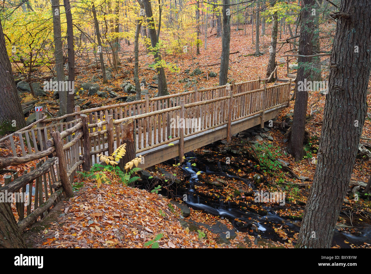 Autumn Bridge in forest with creek and foliage in woods Stock Photo - Alamy
