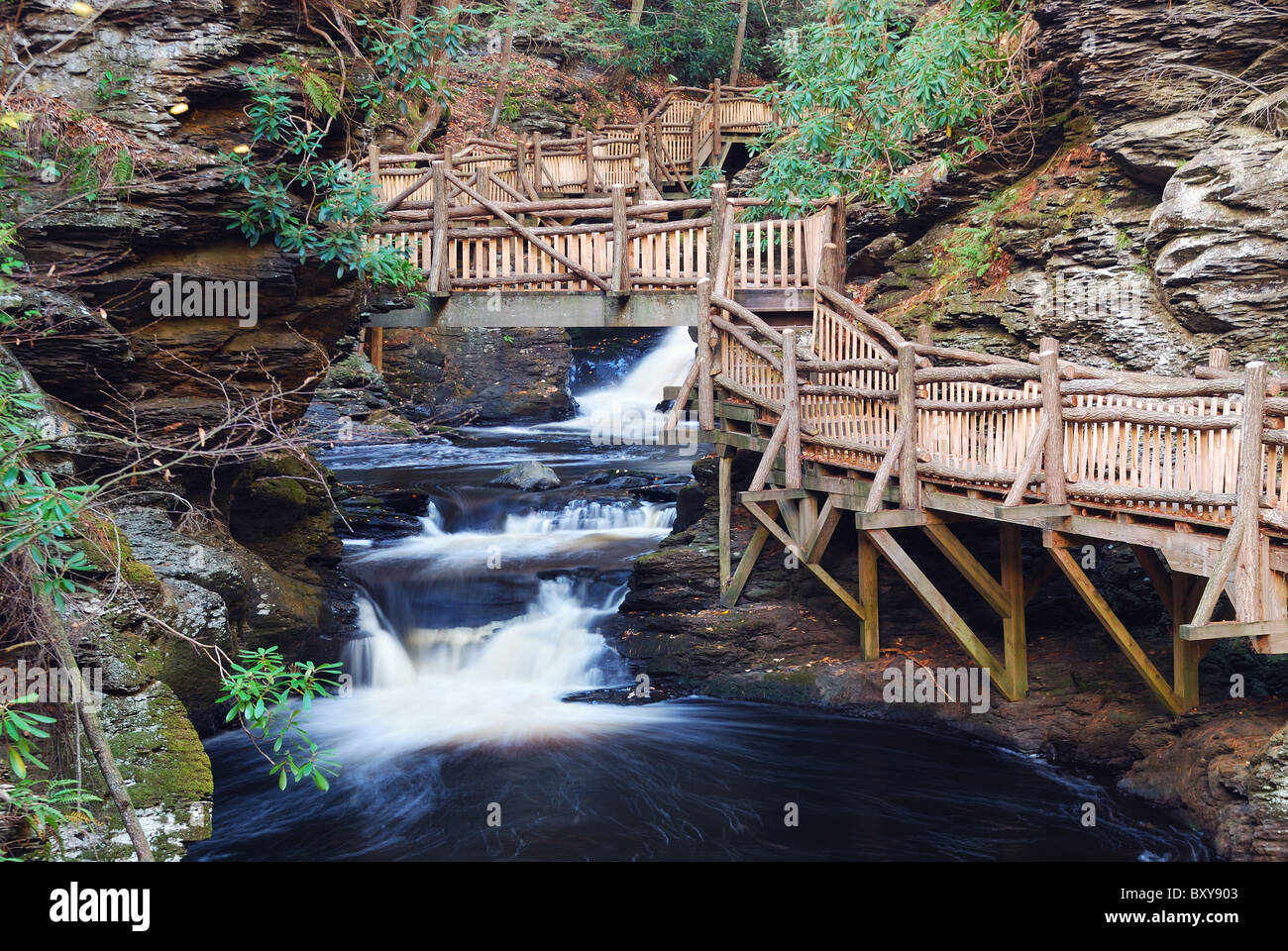 Autumn creek with hiking trails and foliage in forest. From Bushkill ...