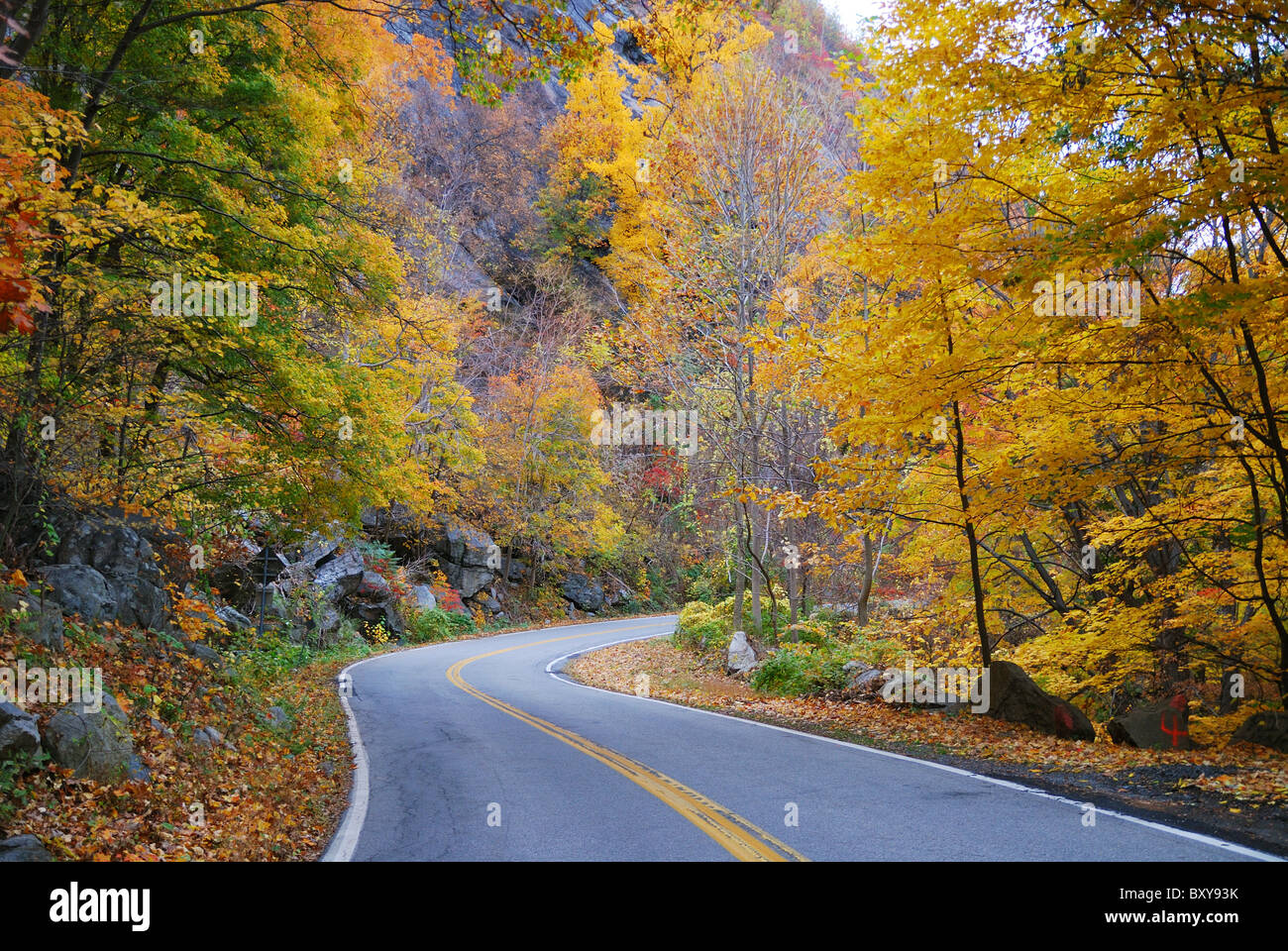 Winding road in Autumn woods with colorful foliage tree in rural area ...