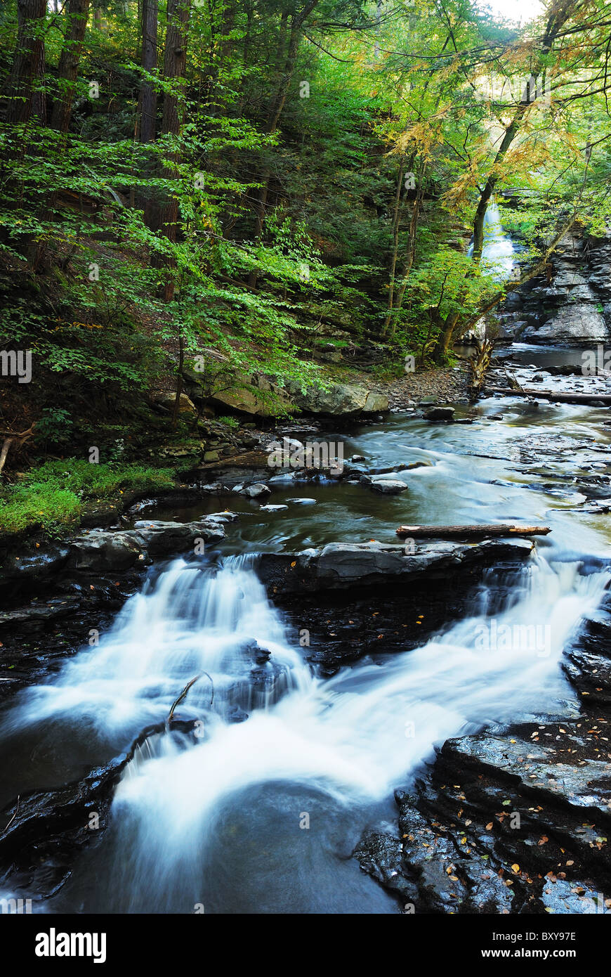Foliage river hi-res stock photography and images - Alamy