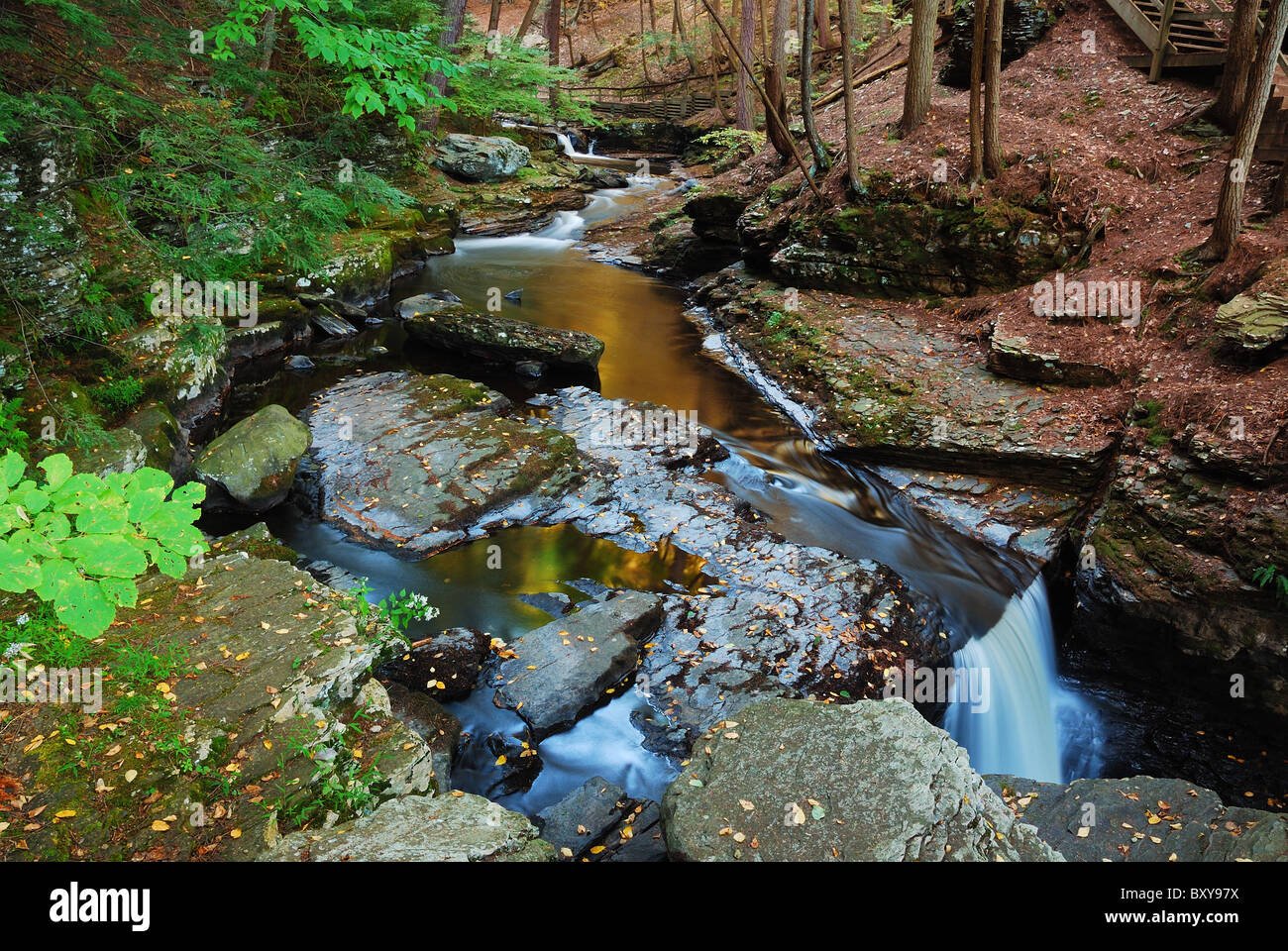 Creek and woods hi-res stock photography and images - Alamy