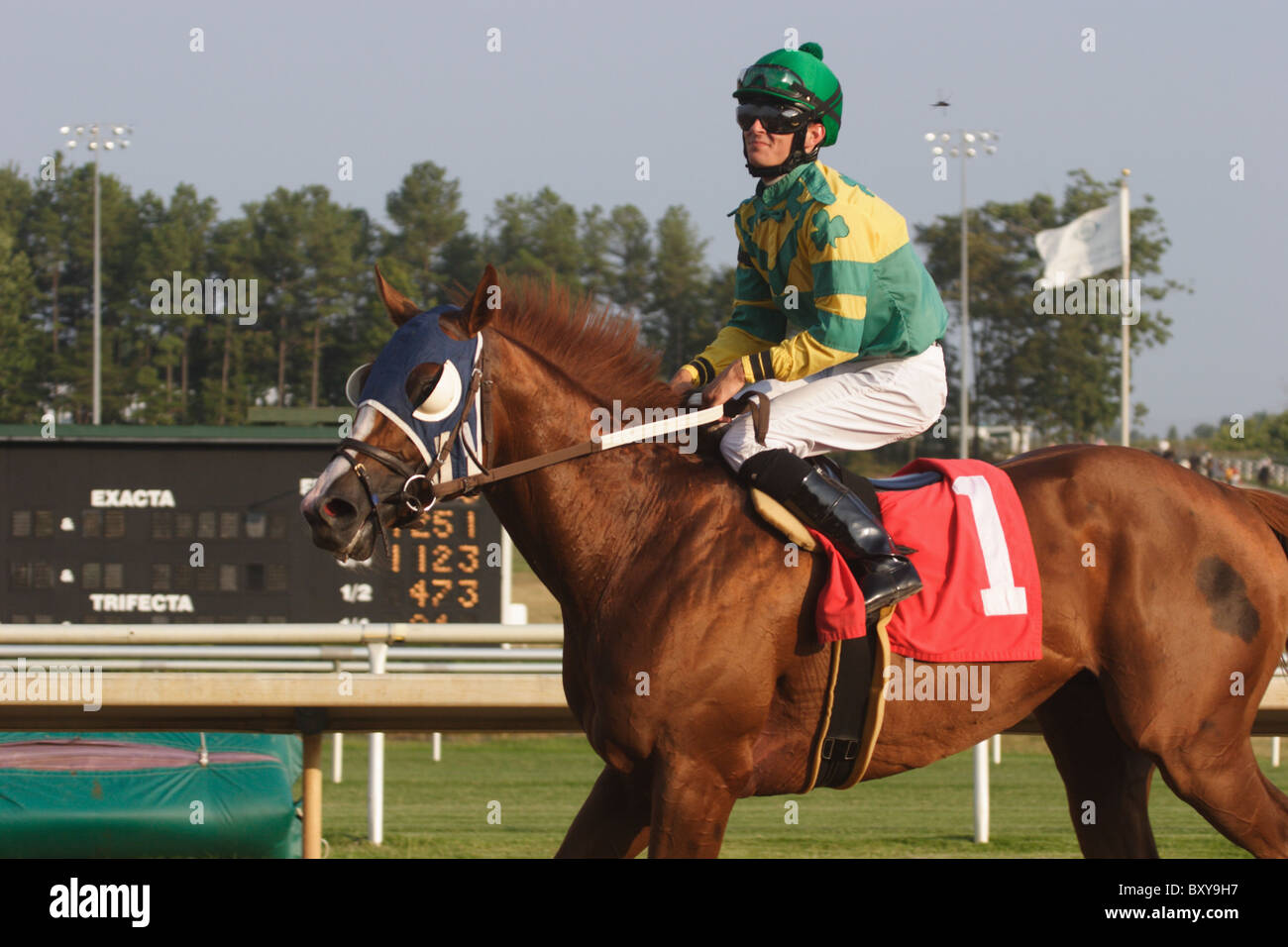 Jockey approaching the starting gate at Colonial downs racetrack in ...