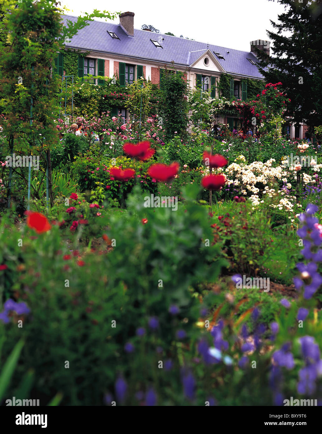 Monet Garden at Giverny, Normandy, France Stock Photo - Alamy