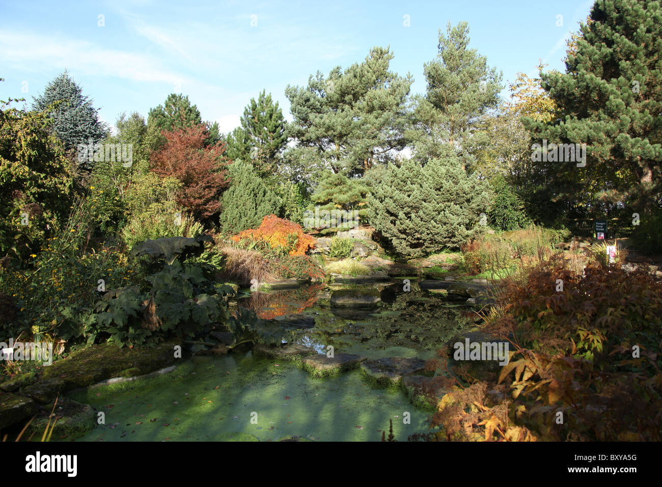 Bridgemere Nursery & Garden World. Autumnal view of Bridgemere’s show ...