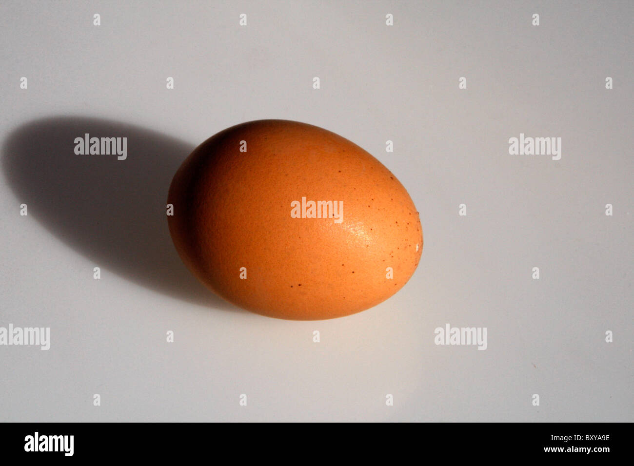 Egg deposition hi-res stock photography and images - Alamy