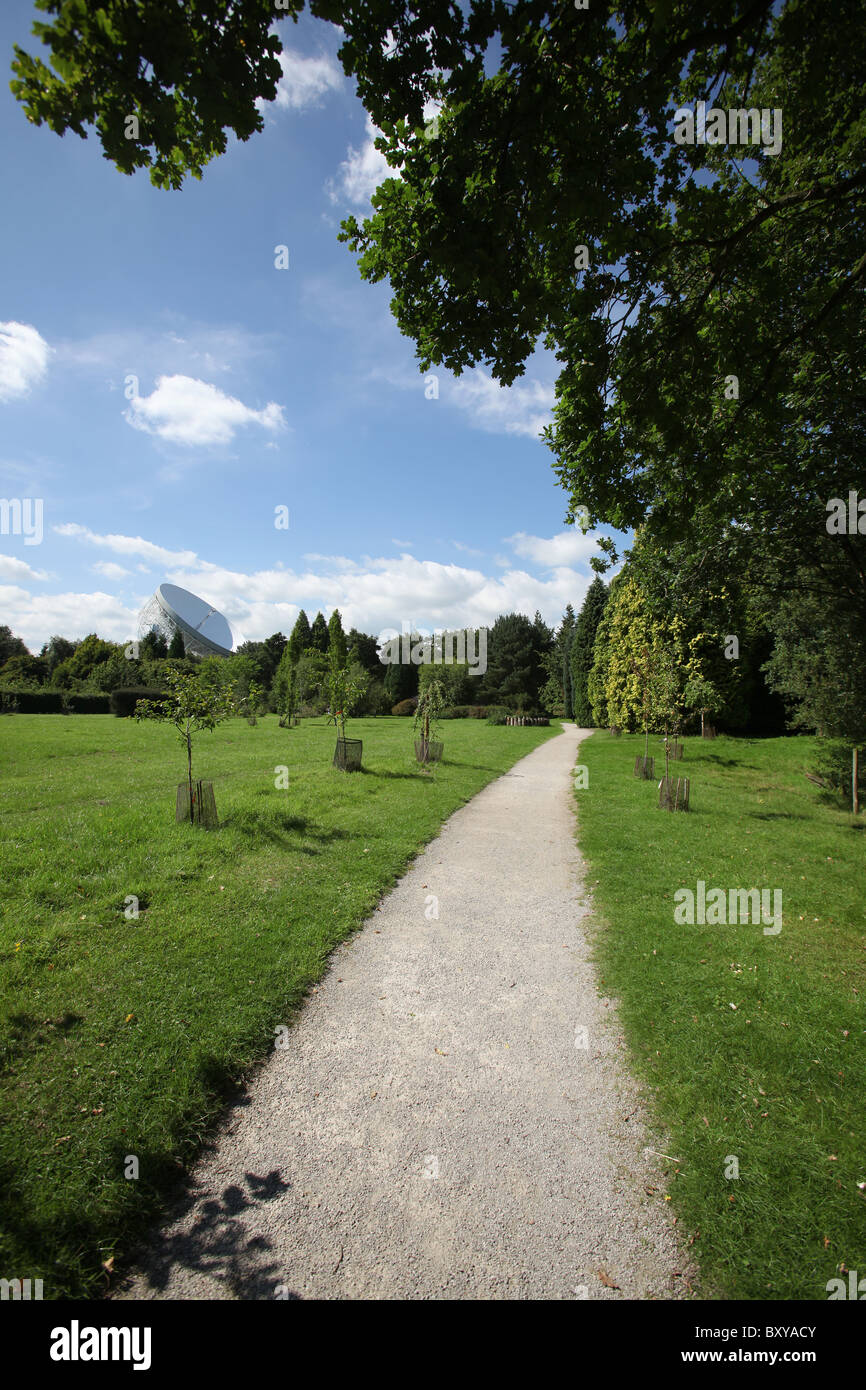 Jodrell Bank Arboretum, England. Summer view of Jodrell Bank Arboretum ...