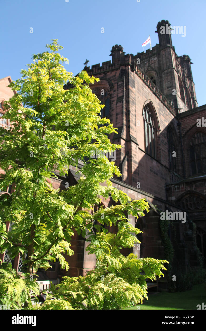 City of Chester, England. Early autumn view of Chester Cathedral tower ...