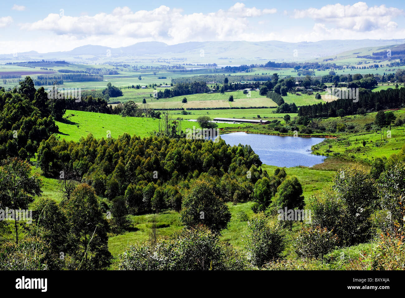 Lidgetton hi-res stock photography and images - Alamy