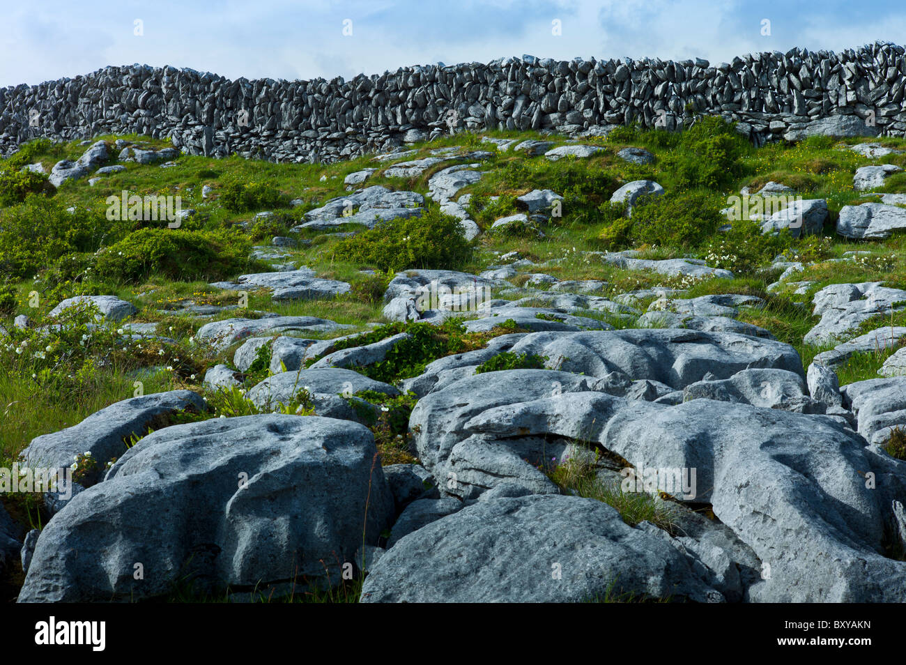 The Burren famous glaciated karst pavement landscape of limestone and ...