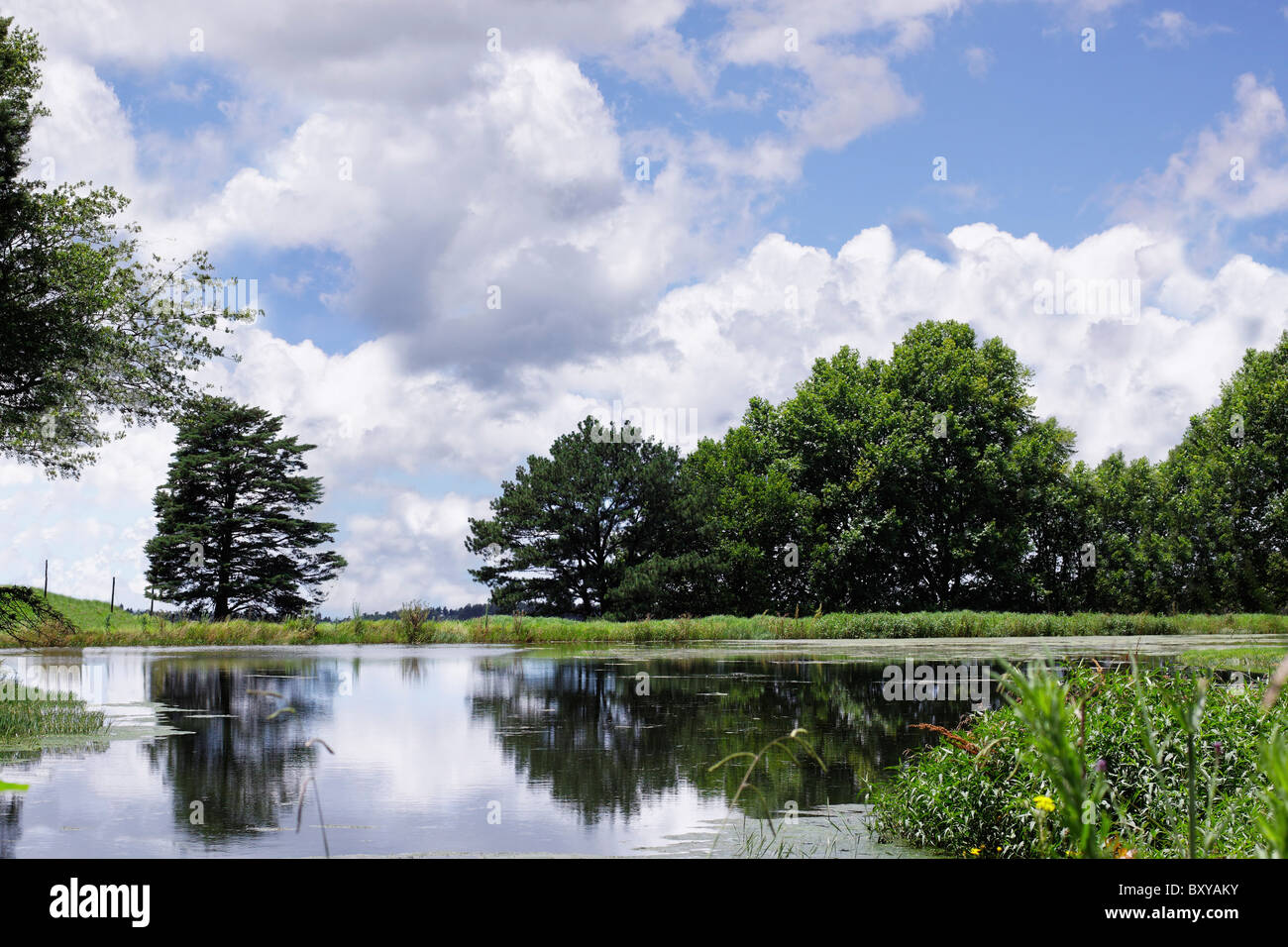 A small lake in the Nottingham Road region of the Midlands, KwaZulu ...