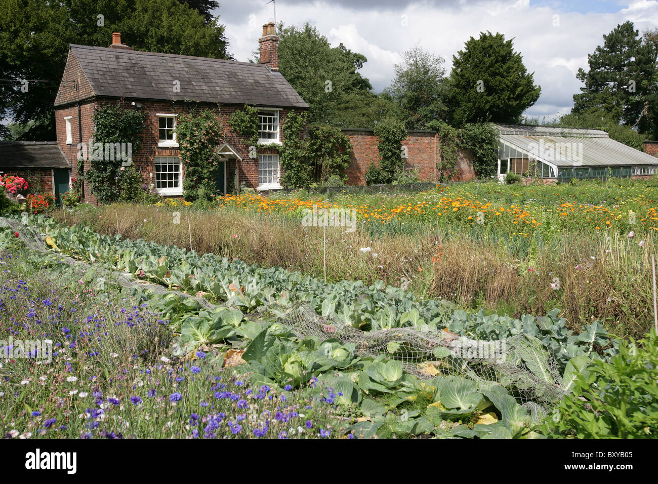 Rode Hall Country House and Gardens. The Walled Kitchen Garden with the ...