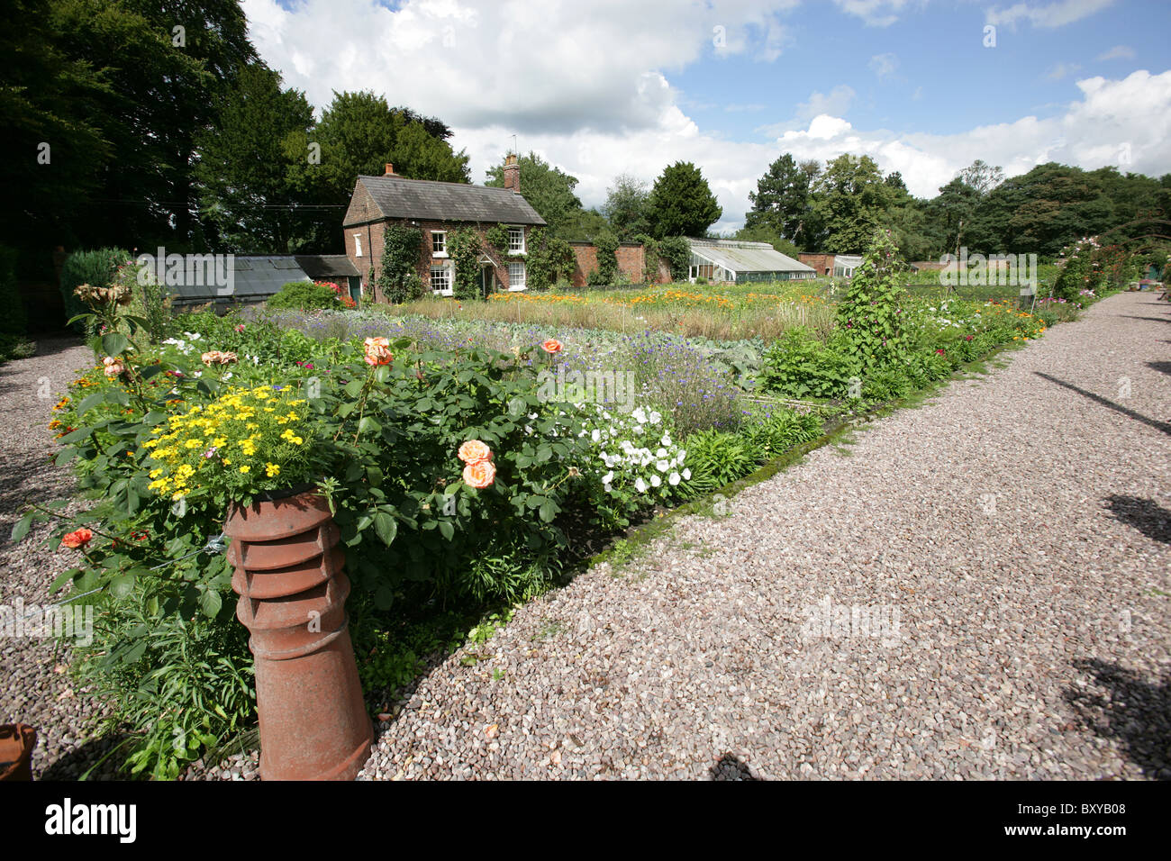 Rode Hall Country House and Gardens. The Walled Kitchen Garden with the ...