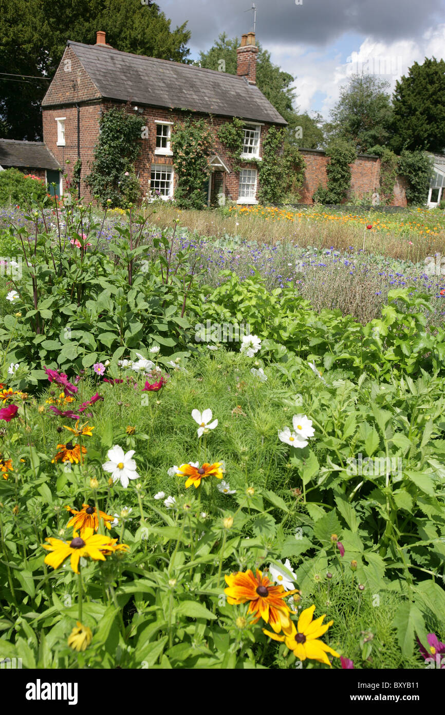 Rode Hall Country House and Gardens. The Walled Kitchen Garden with the ...
