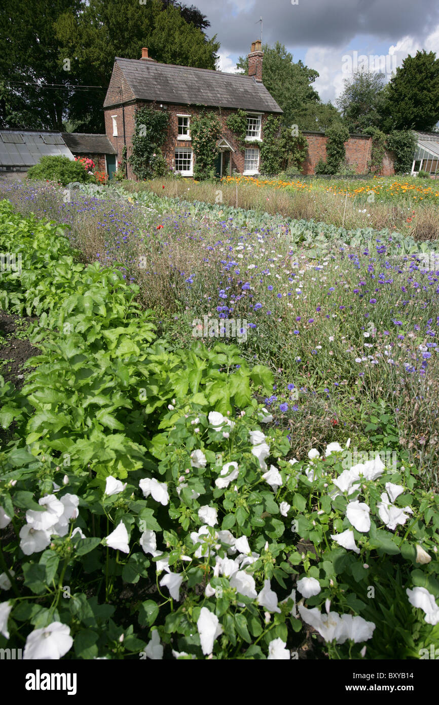 Rode Hall Country House and Gardens. The Walled Kitchen Garden with the ...