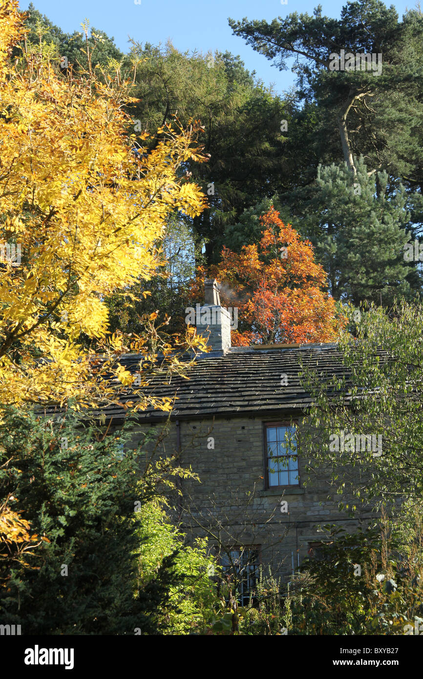 Dunge Valley Rhododendron Gardens, England. Autumnal view of Dunge ...