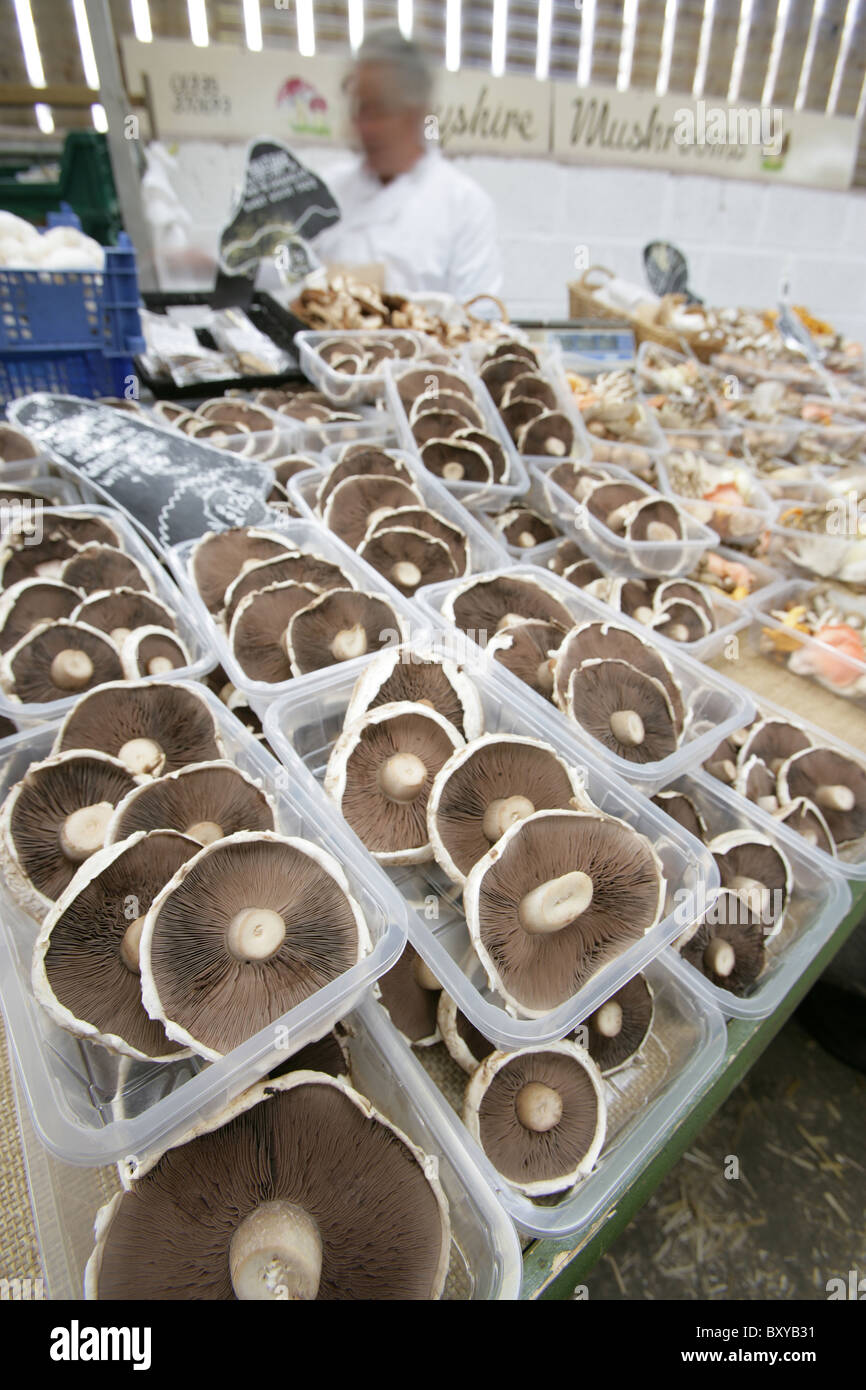 Rode hall country house and gardens hi-res stock photography and images ...