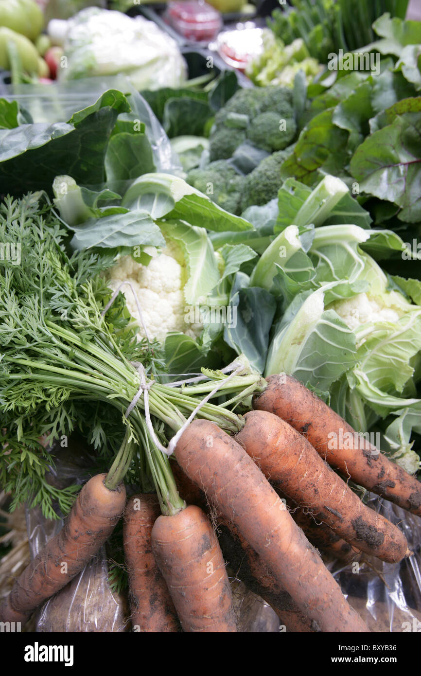 Rode hall country house and gardens hi-res stock photography and images ...