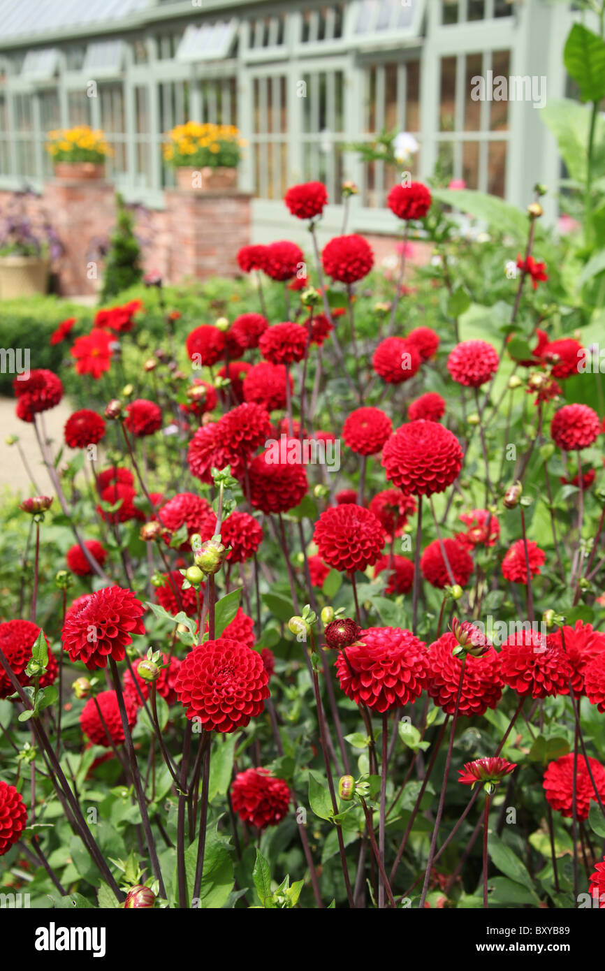 Pom pom hi-res stock photography and images - Alamy