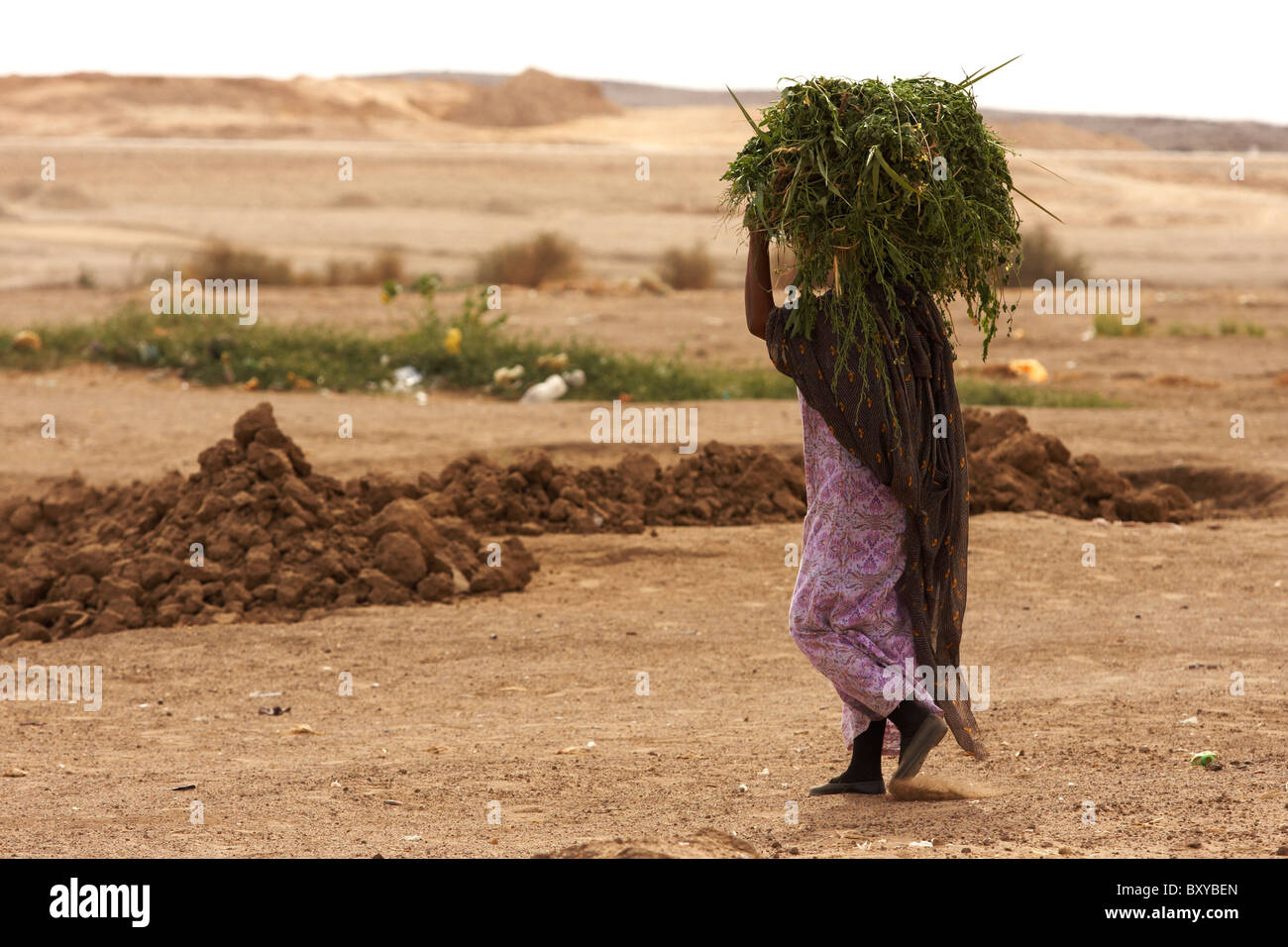 Woman carrying crops on head hi-res stock photography and images - Alamy