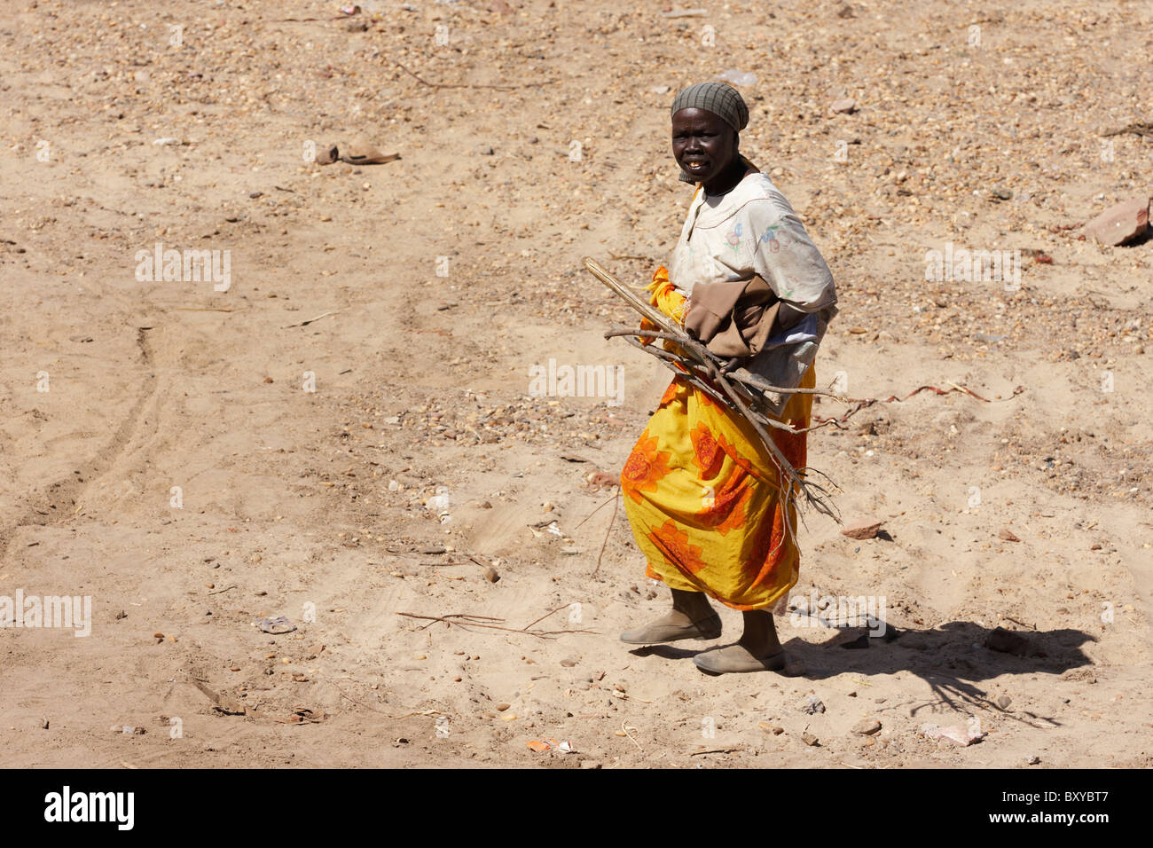 Collect firewood hi-res stock photography and images - Alamy