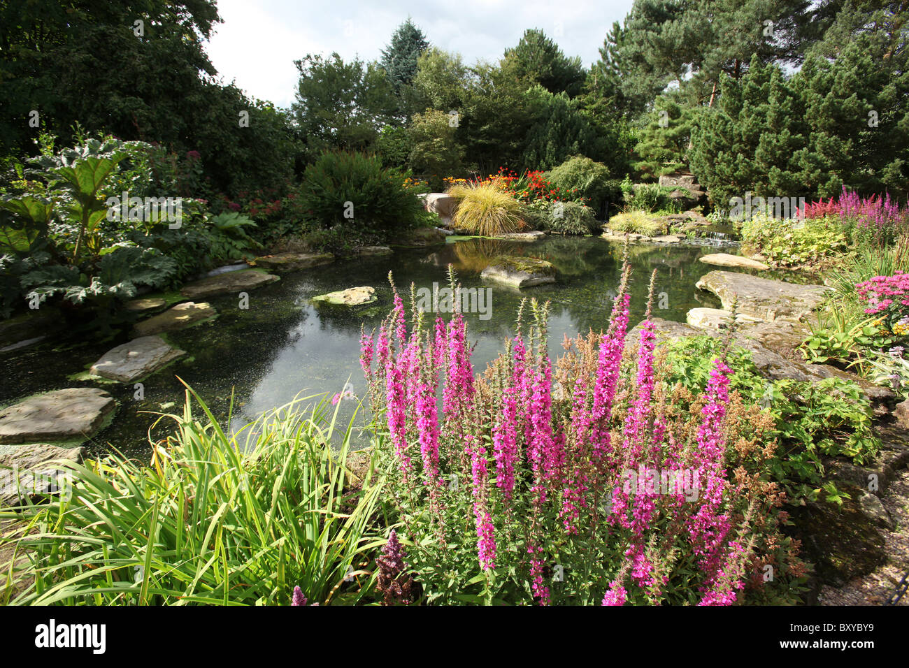 Bridgemere Nursery & Garden World. Summer view of Bridgemere’s show ...
