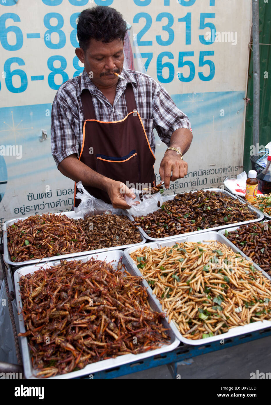Man selling cooked bugs and insects whilst smoking a cigarette at ...