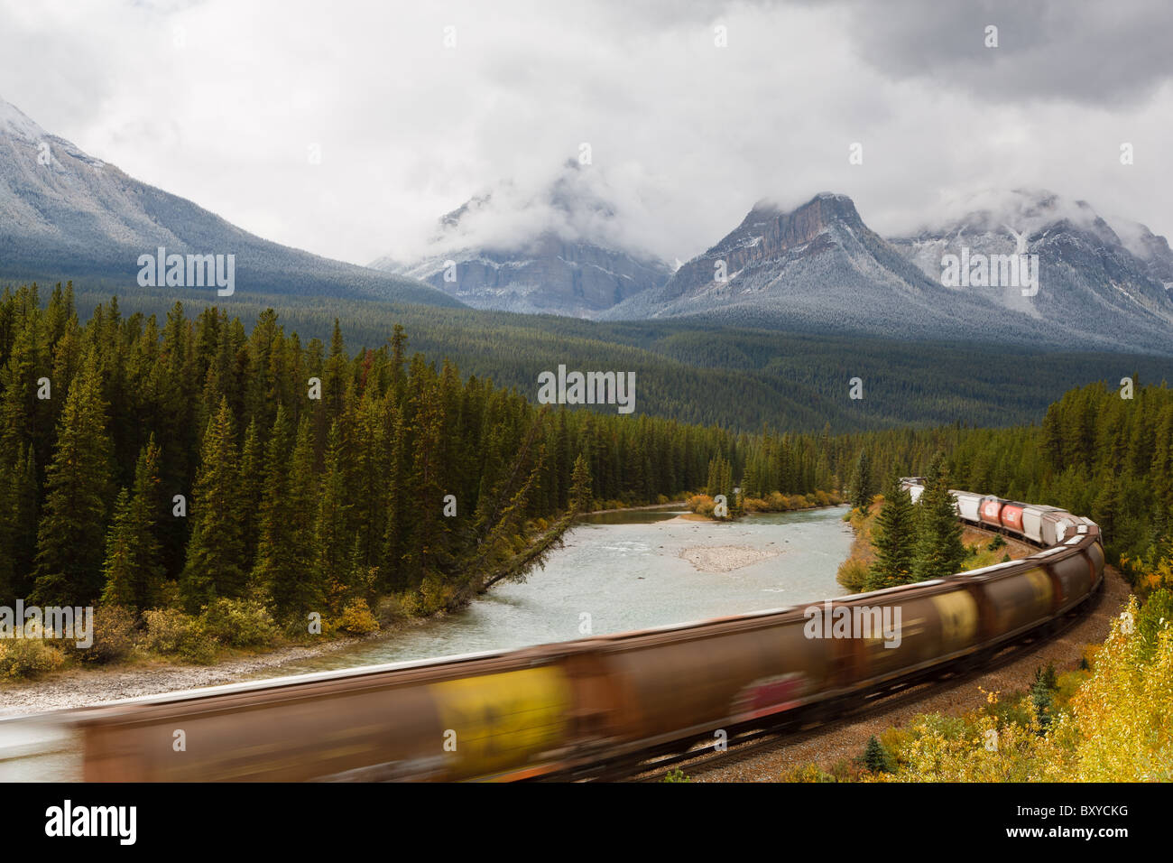 A train passes through the Morant's Curve in Bow Valley Parkway with Bow Range as background ...